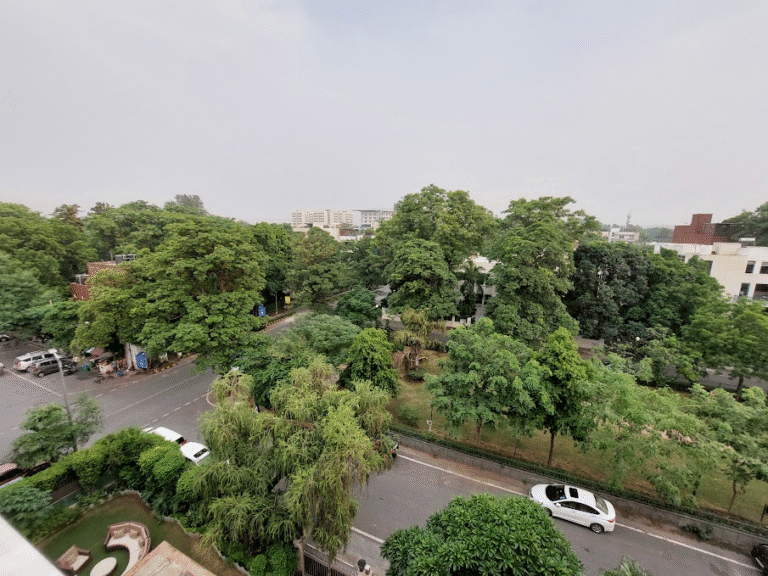 Jor Bagh Real Estate Guide 2026: All You Need to Know